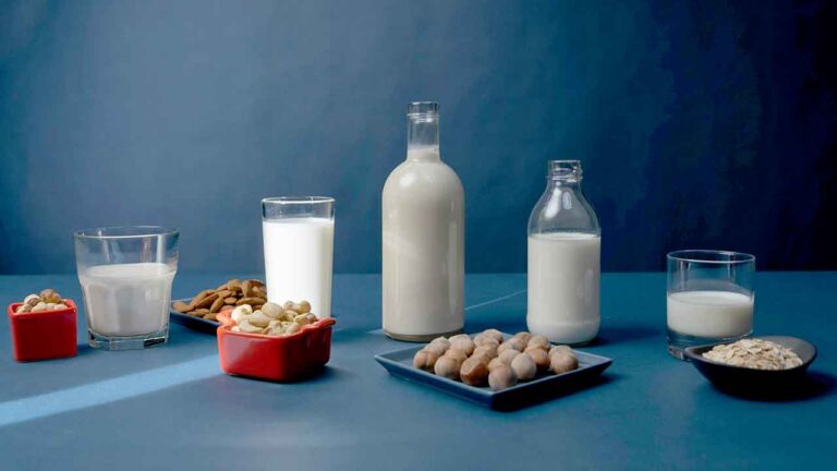 Complete guide: compare the 10 most popular types of milk - Ela Saúde
